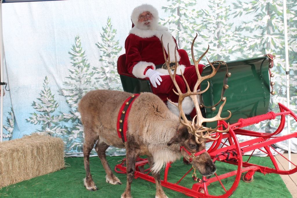 Santa’s reindeer strays from the herd to visit the Children’s Museum of ...