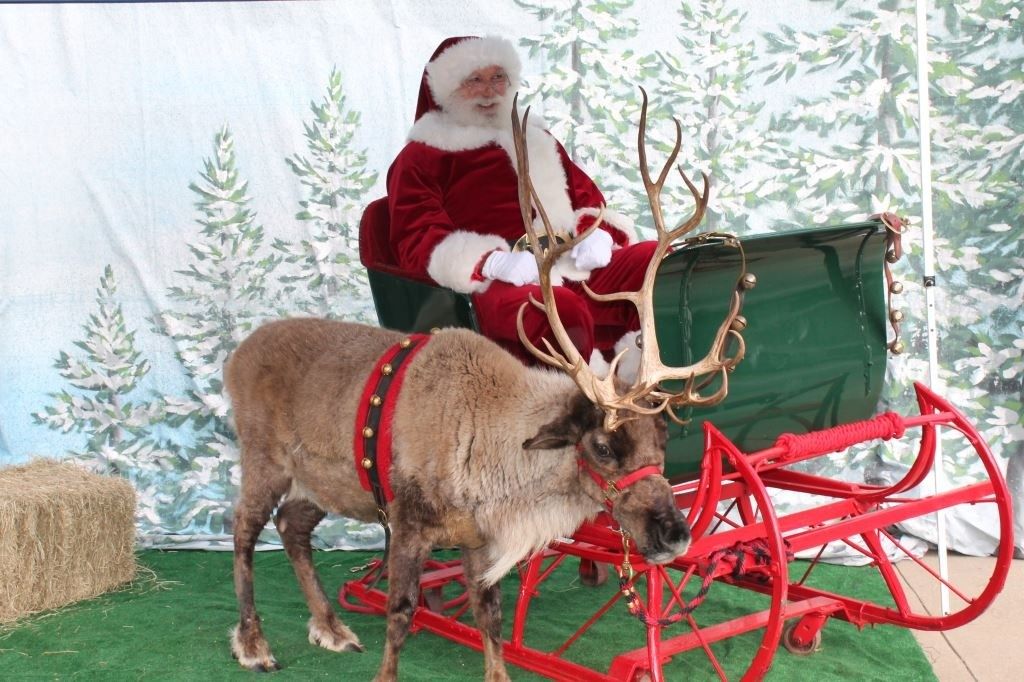 Santa’s reindeer strays from the herd to visit the Children’s Museum of ...