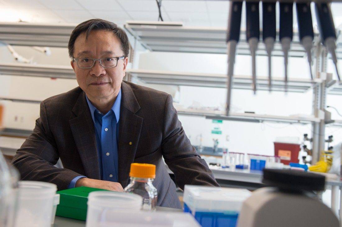 Gang Bao combines genetic, nano and imaging techniques to fight disease