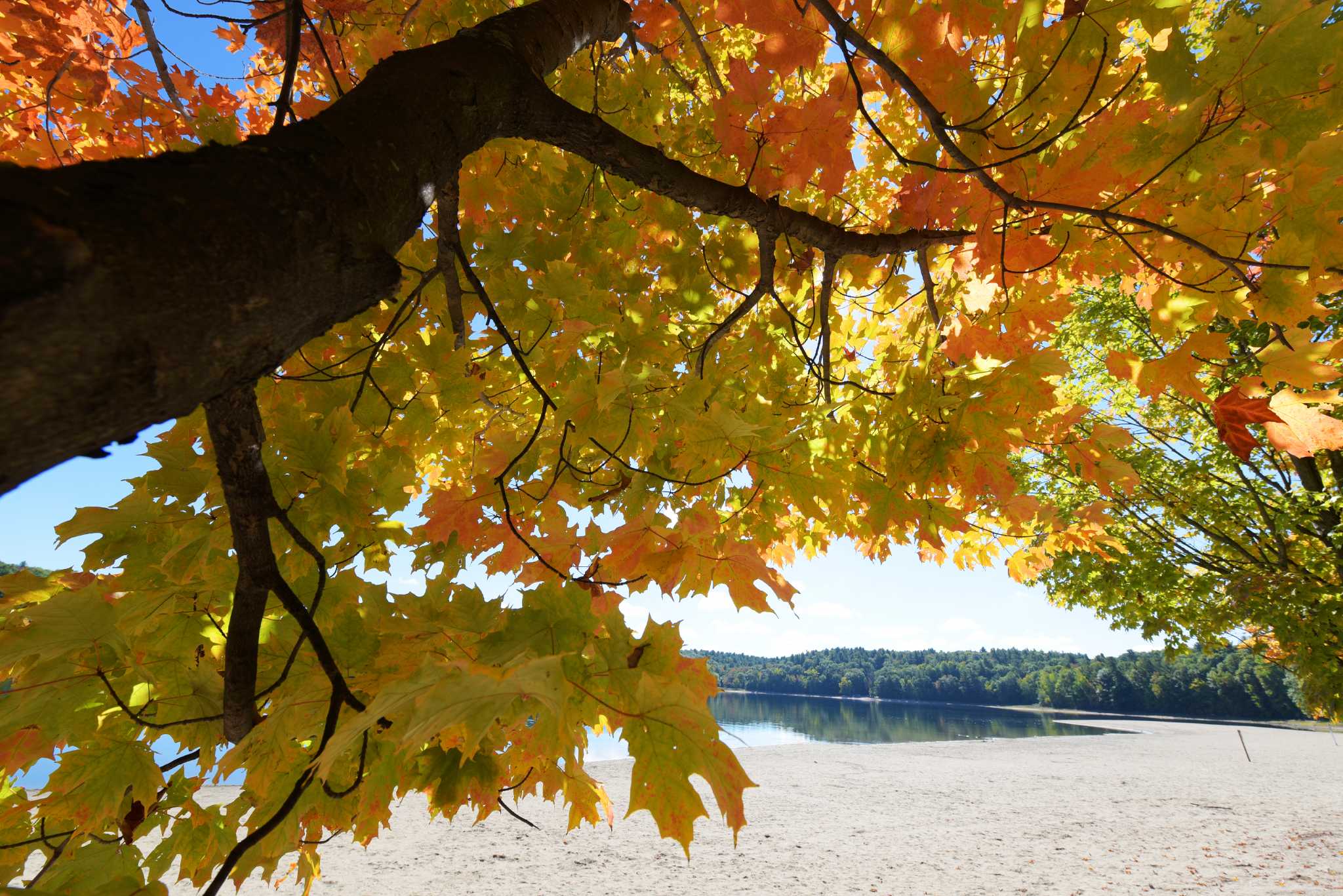 Photos: Fall's brilliant colors