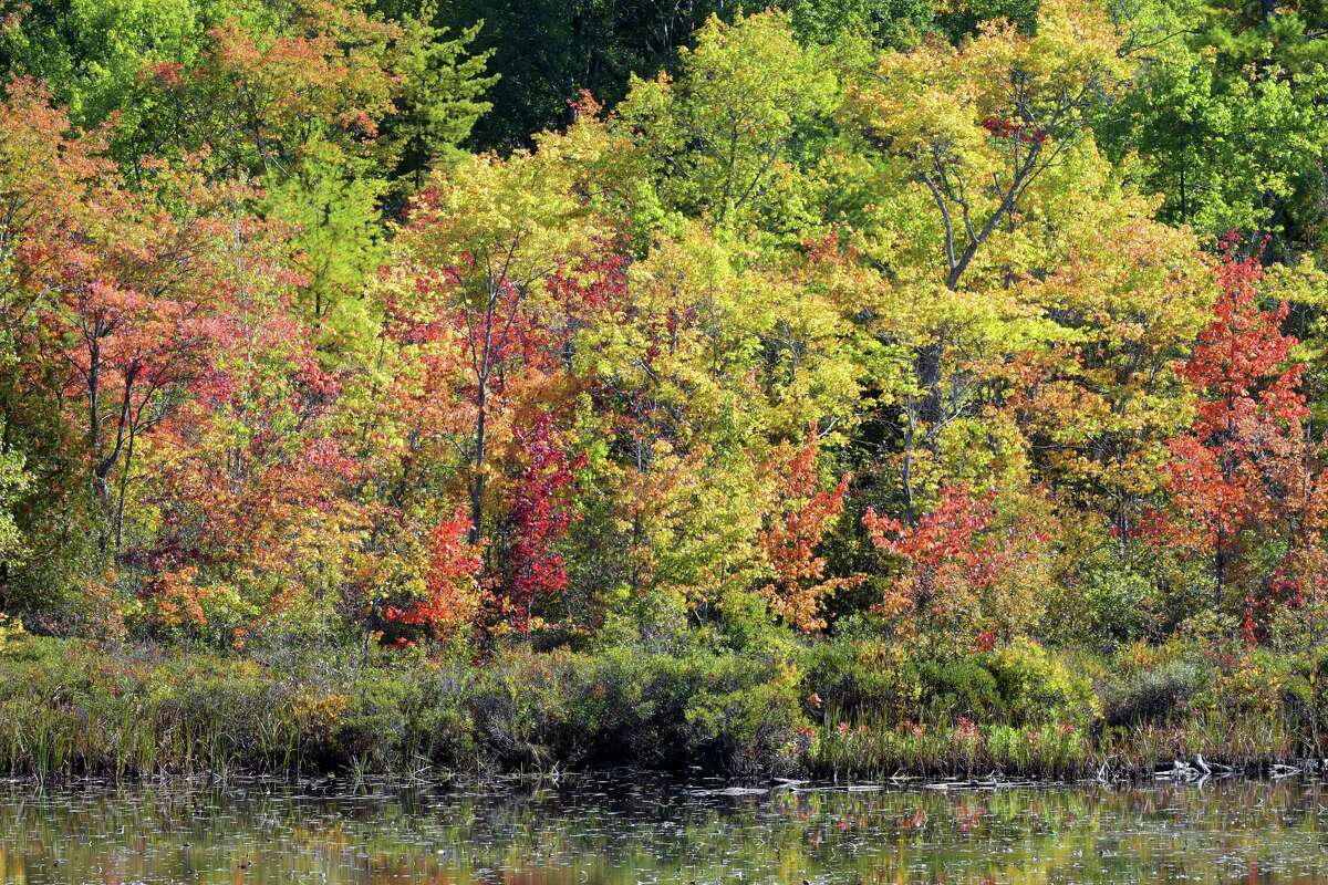 Photos: Fall's brilliant colors