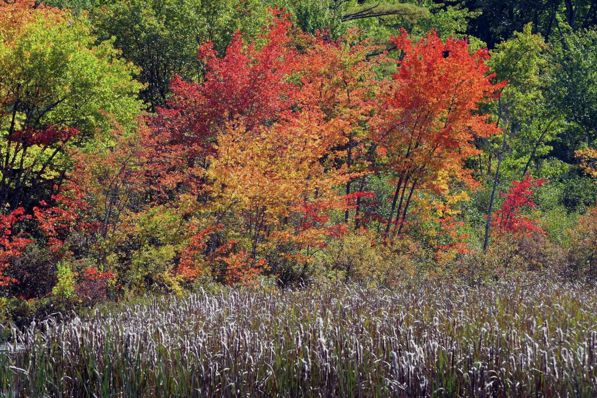 Photos: Fall's brilliant colors