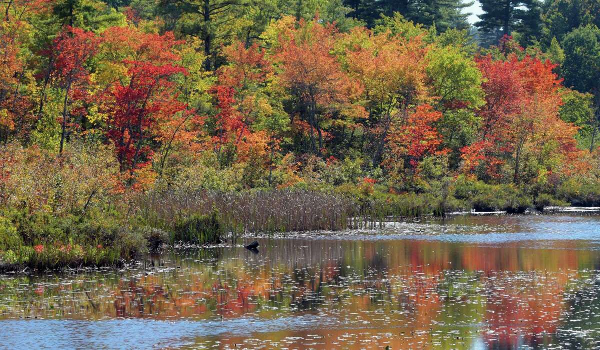 Photos: Fall's brilliant colors