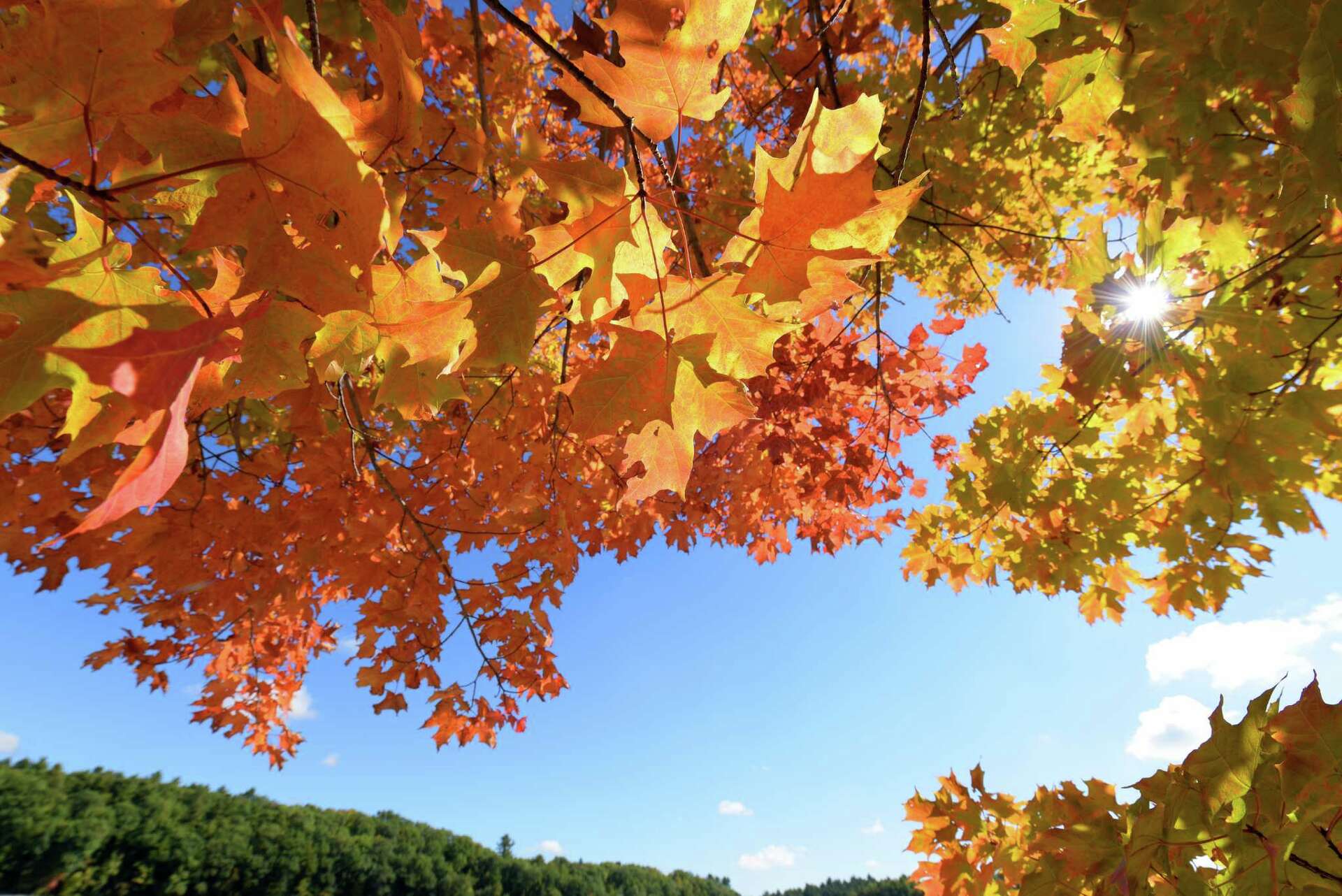For the best fall-foliage vantage points, try the sky, rails or river