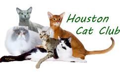 Houston Cat Show takes over Humble Civic Center on Jan 10-11