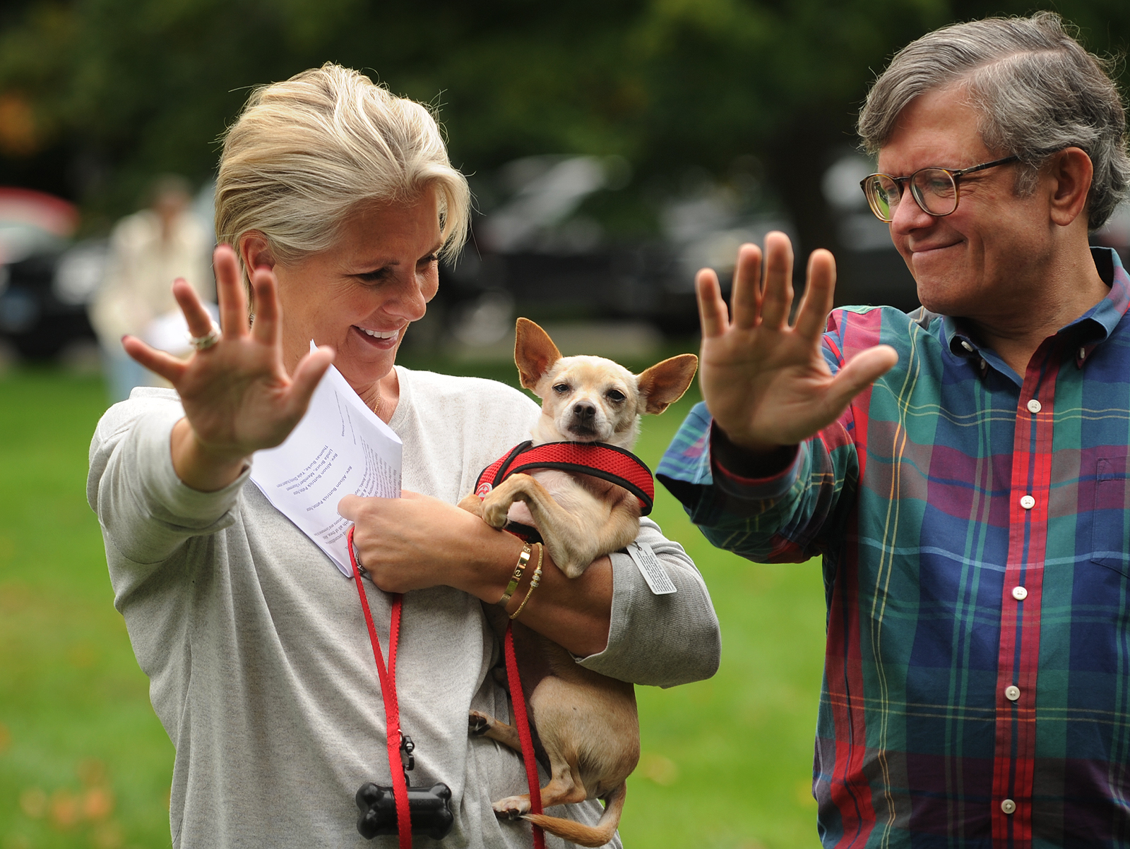 Community Channel: Dogs, a new commission and more