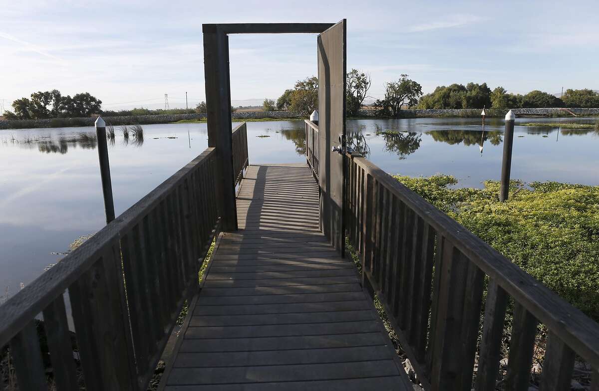 SF Bay ecosystem collapsing as rivers diverted, scientists report