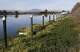 SF Bay ecosystem collapsing as rivers diverted, scientists report