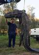 Dayton gator could be biggest ever captured in Texas