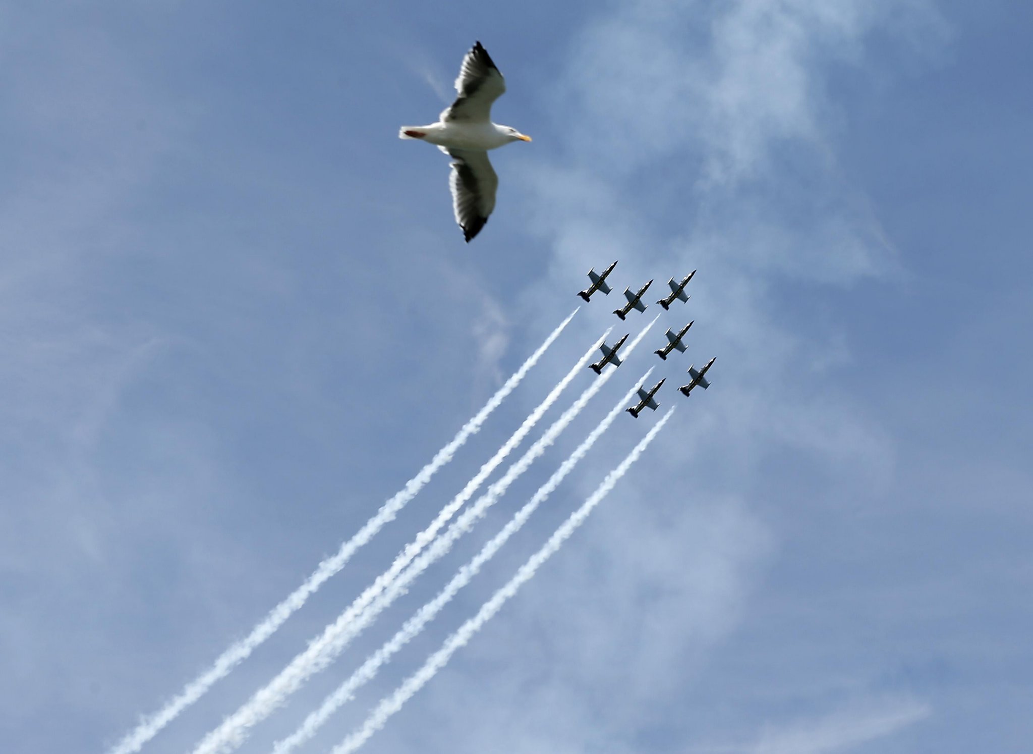 Flying high with aerobatics team, and living to tell about it