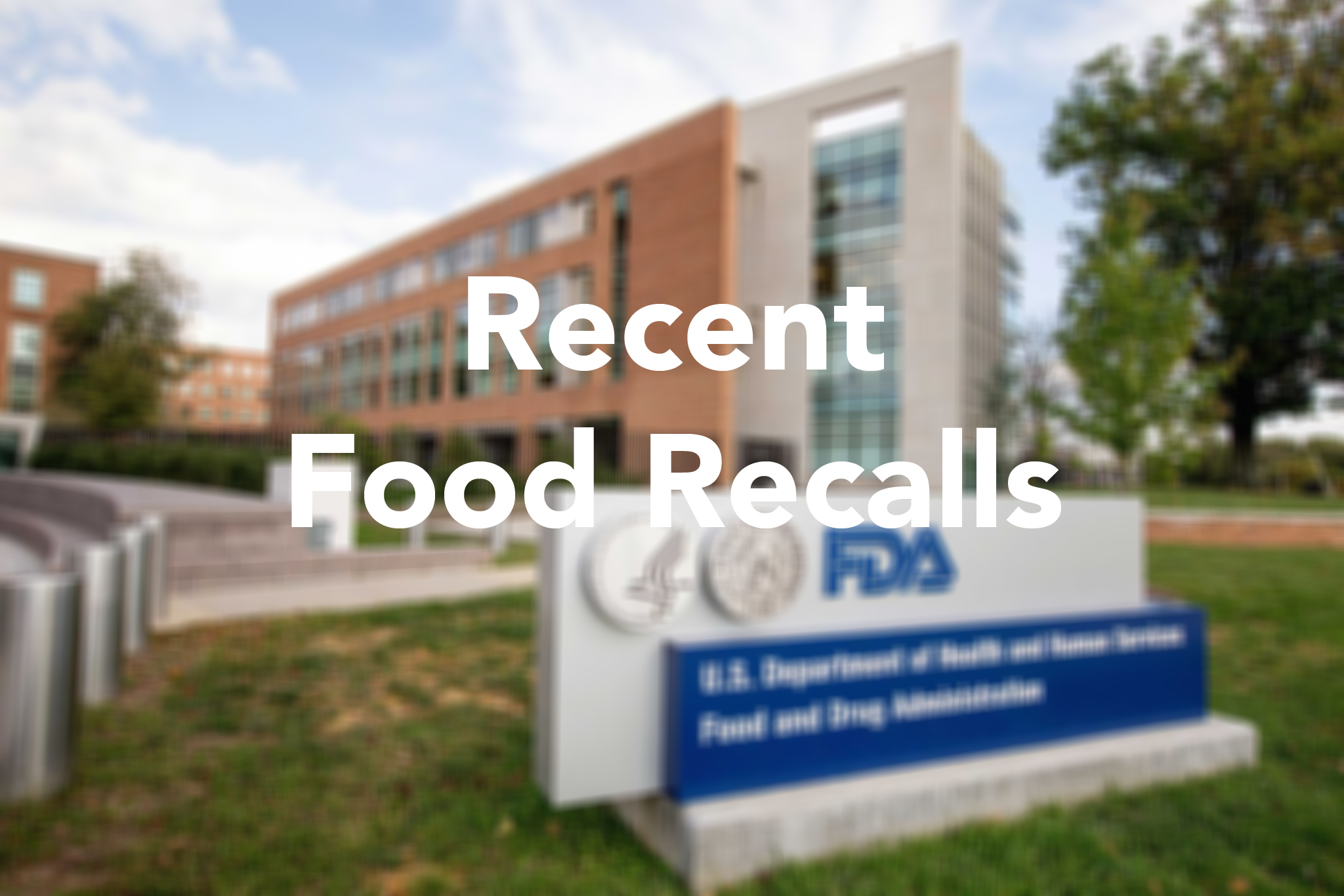 Recent Food Recalls