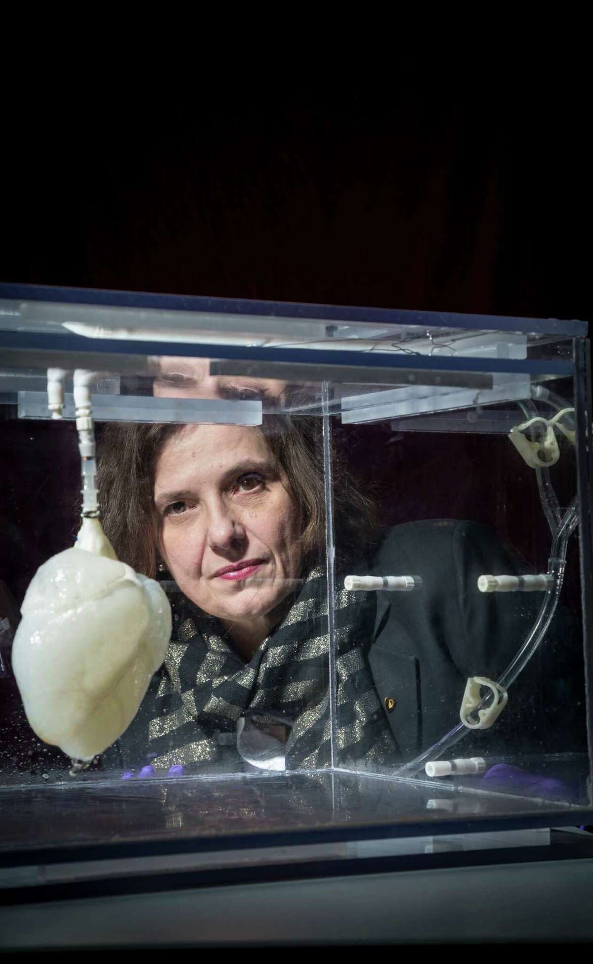 Houston establishes itself as a pioneer in regenerative medicine