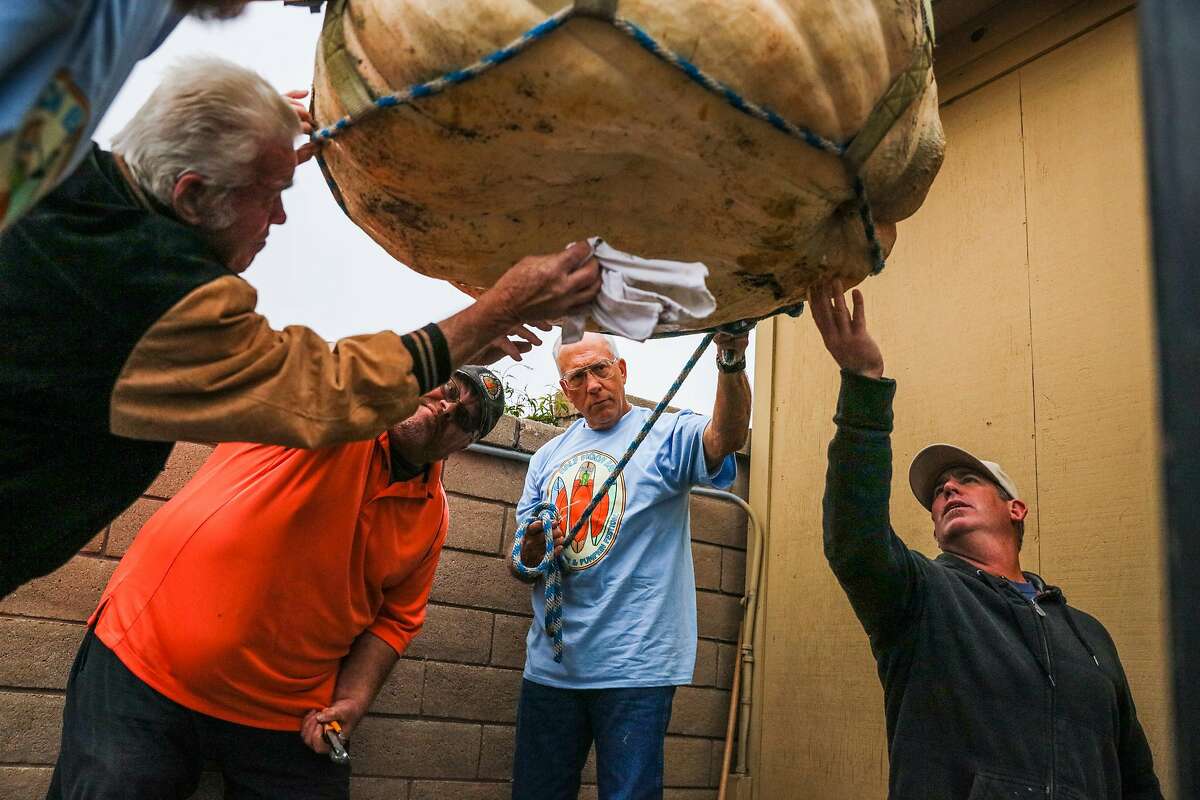 1st woman in 19 years wins Half Moon Bay’s pumpkin weigh off