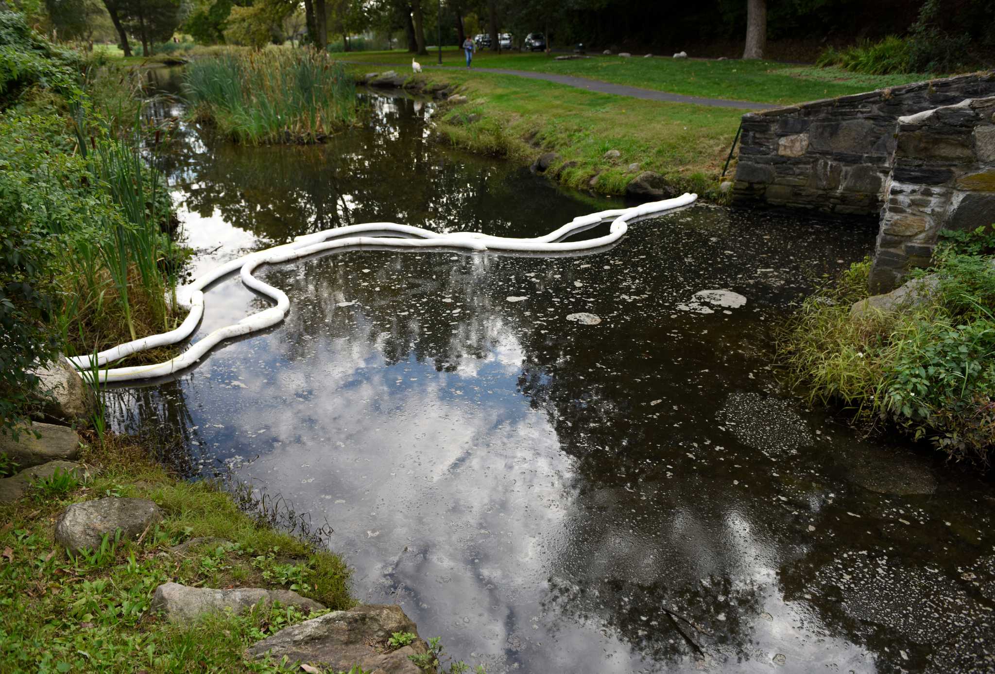 Booms remain in place on Binney Pond