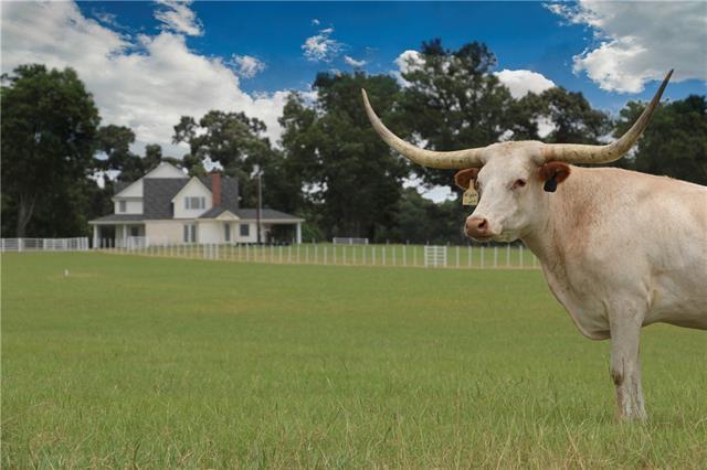 Texas' most beautiful (and expensive) ranches for sale
