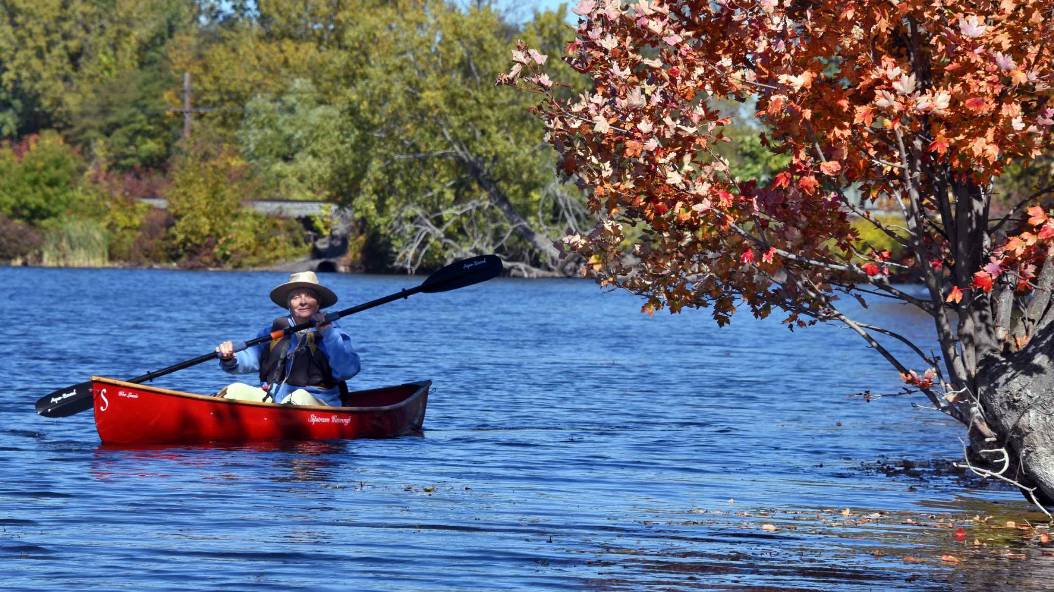 The colors of autumn in Albany