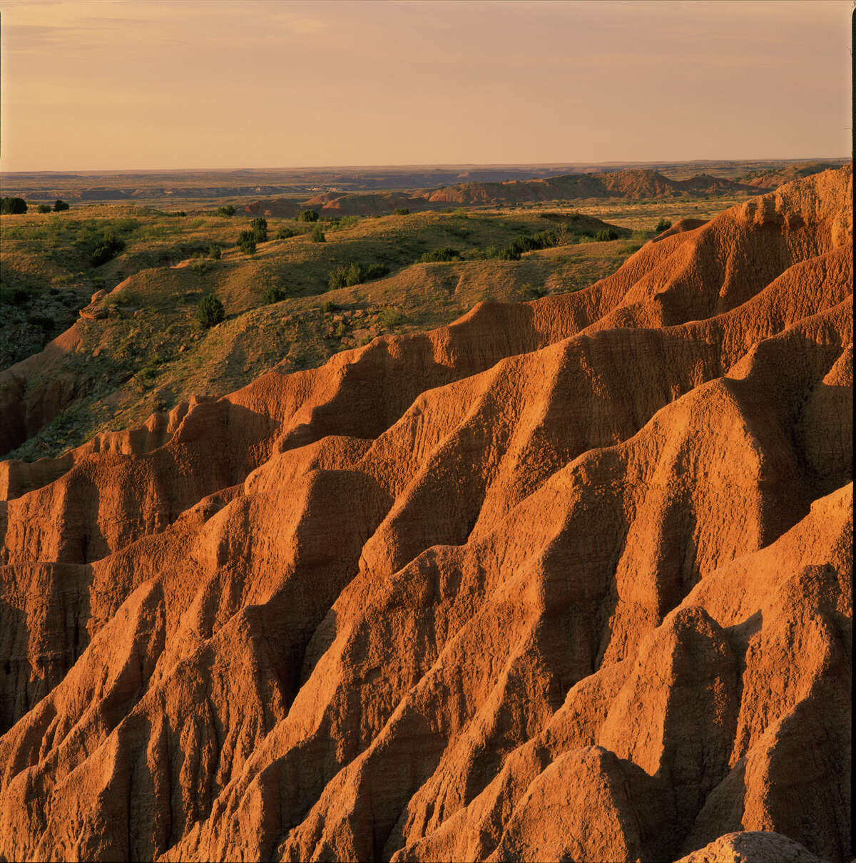 Official State Photographer of Texas Wyman Meinzer captures everything ...