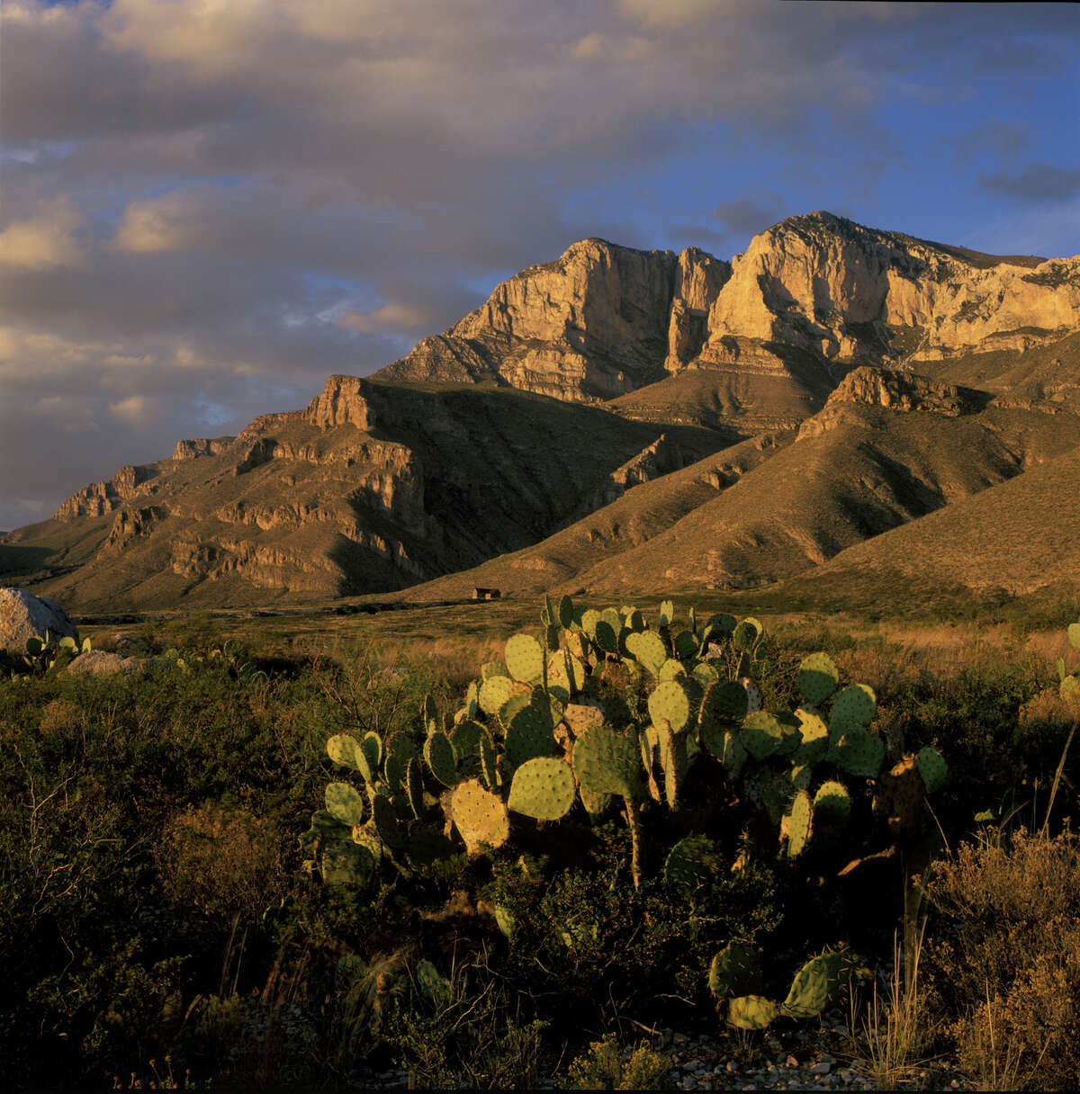 Official State Photographer of Texas Wyman Meinzer captures everything ...