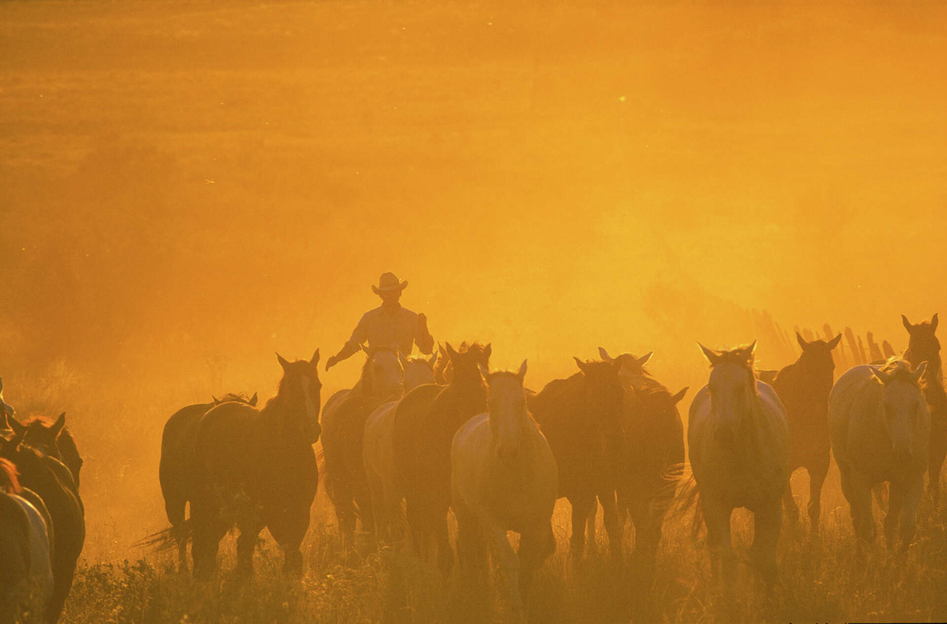 Official State Photographer of Texas Wyman Meinzer captures everything ...