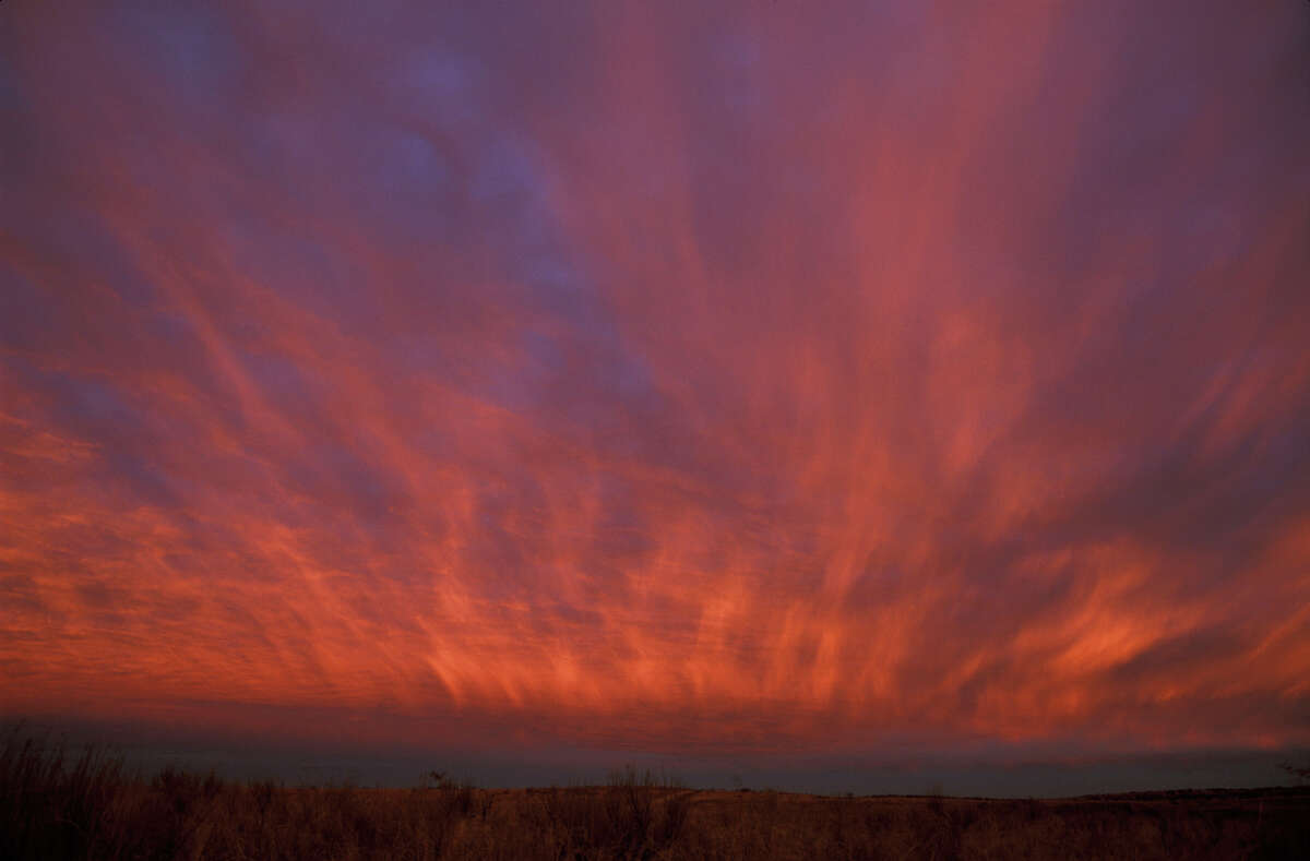 Official State Photographer of Texas Wyman Meinzer captures everything ...