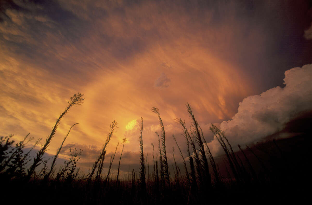Official State Photographer of Texas Wyman Meinzer captures everything ...