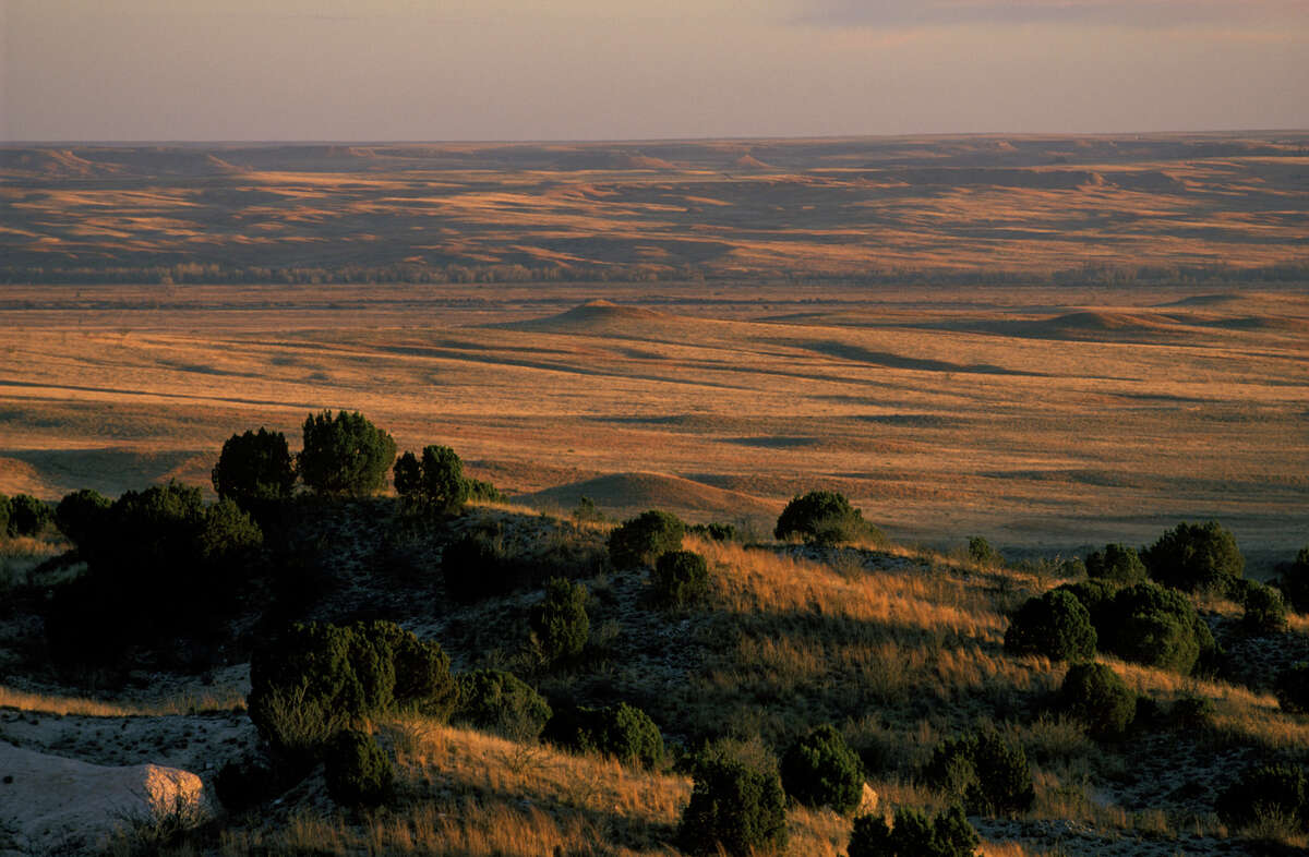 Official State Photographer of Texas Wyman Meinzer captures everything ...
