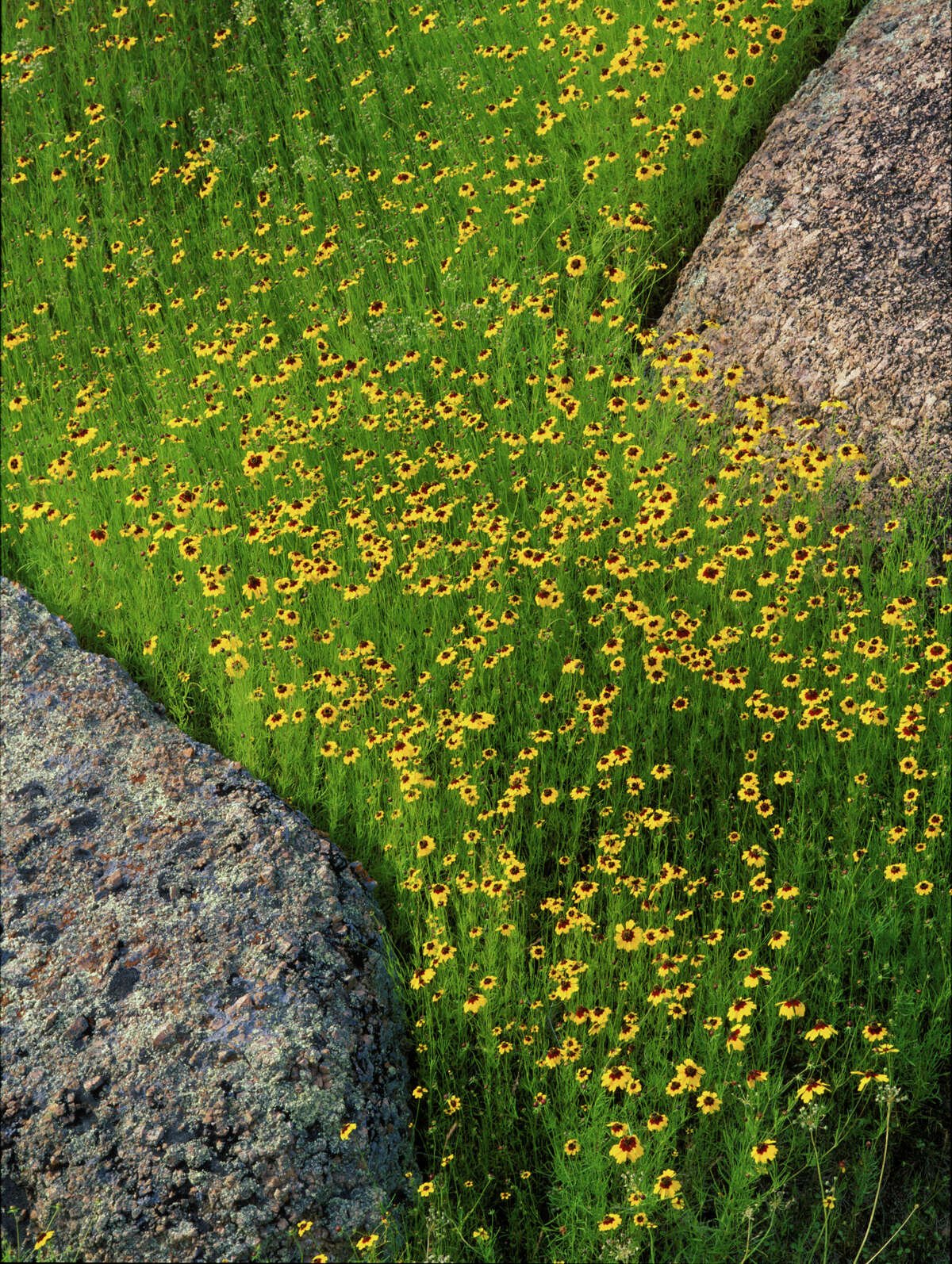 Official State Photographer of Texas Wyman Meinzer captures everything ...