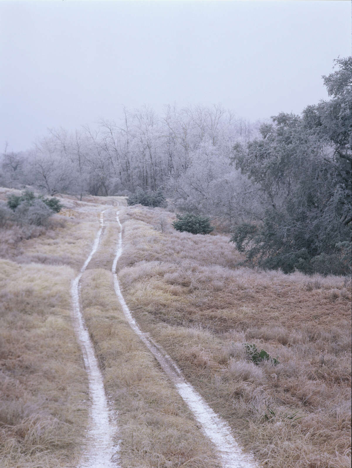 Official State Photographer of Texas Wyman Meinzer captures everything ...
