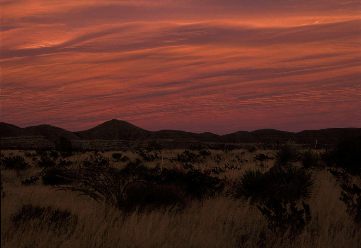 Official State Photographer of Texas Wyman Meinzer captures everything ...