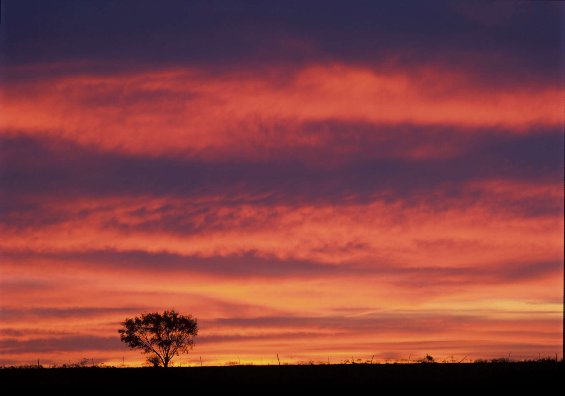 Official State Photographer of Texas Wyman Meinzer captures everything ...