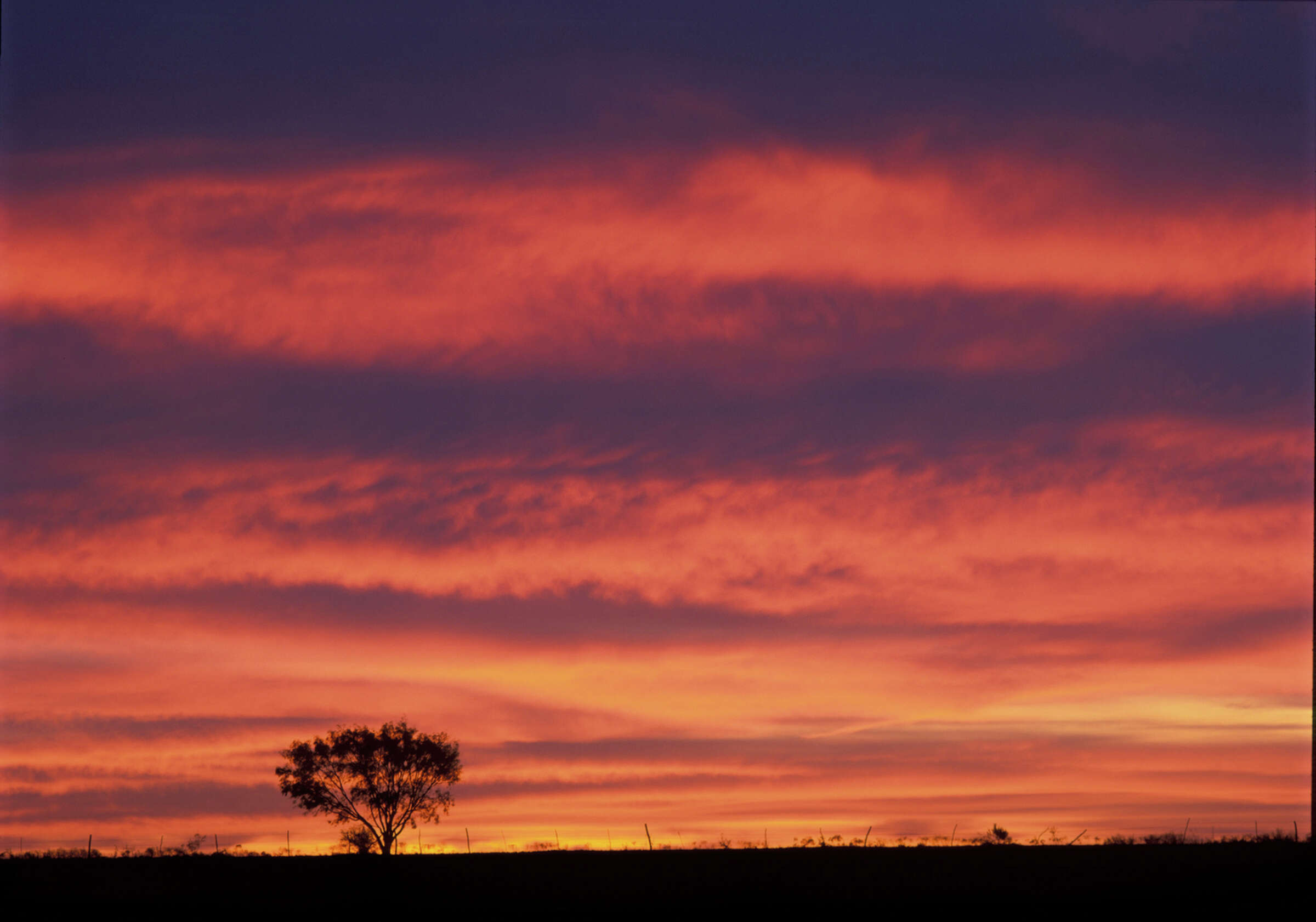 Official State Photographer of Texas Wyman Meinzer captures everything ...