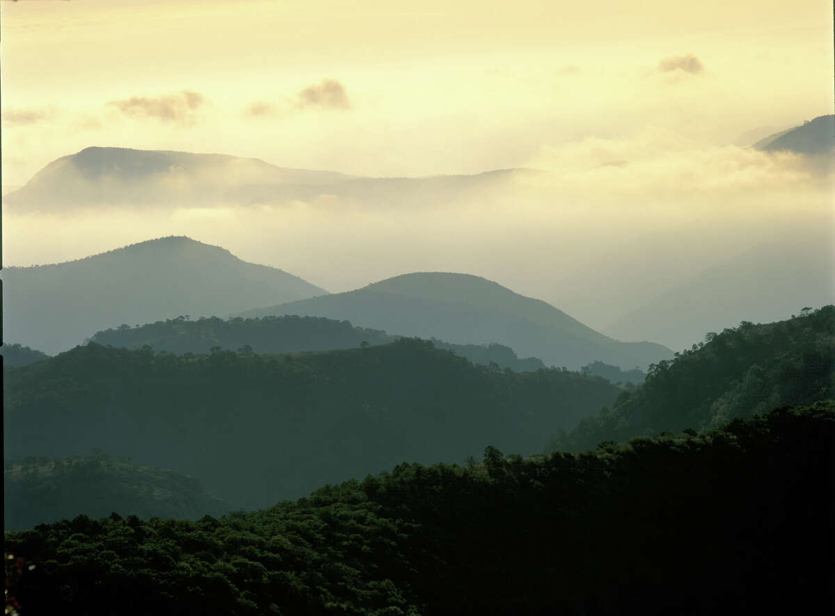 Official State Photographer of Texas Wyman Meinzer captures everything ...