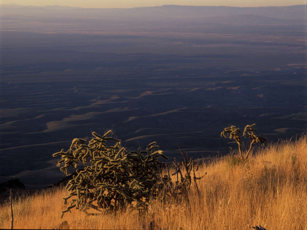Official State Photographer of Texas Wyman Meinzer captures everything ...