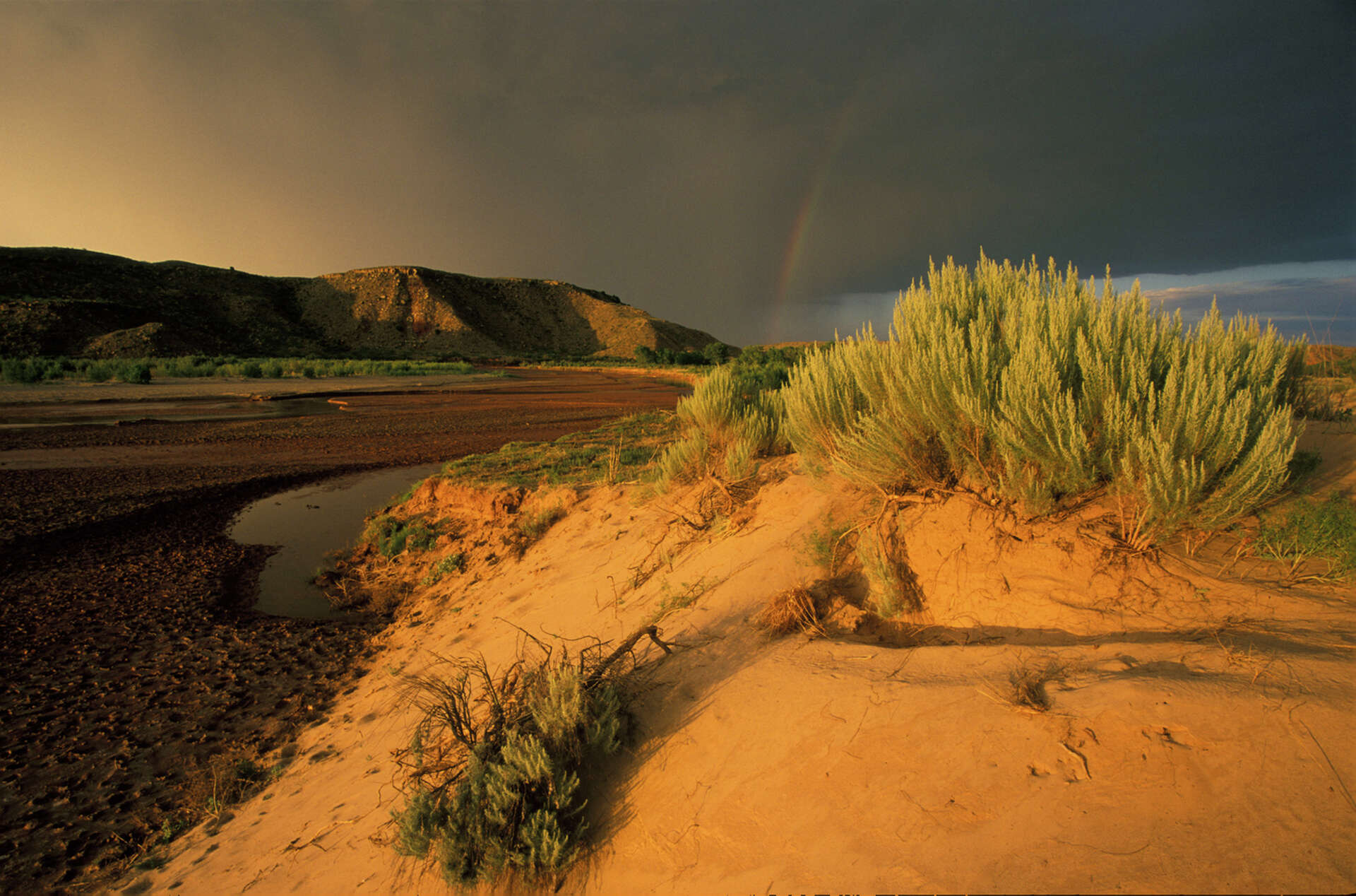 Official State Photographer of Texas Wyman Meinzer captures everything ...
