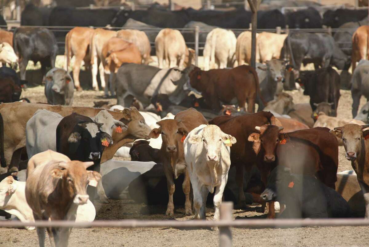 Texas cattlemen reserve excitement as China opens to U.S. beef market