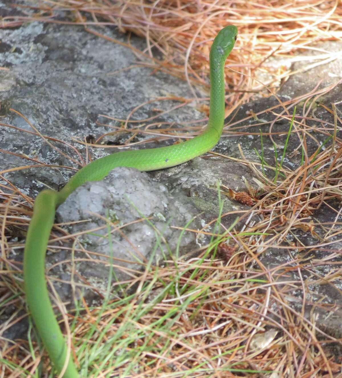 Native American origins of Capital Region school names