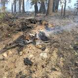 Wildfires burning near Lake Tahoe grow - SFGate