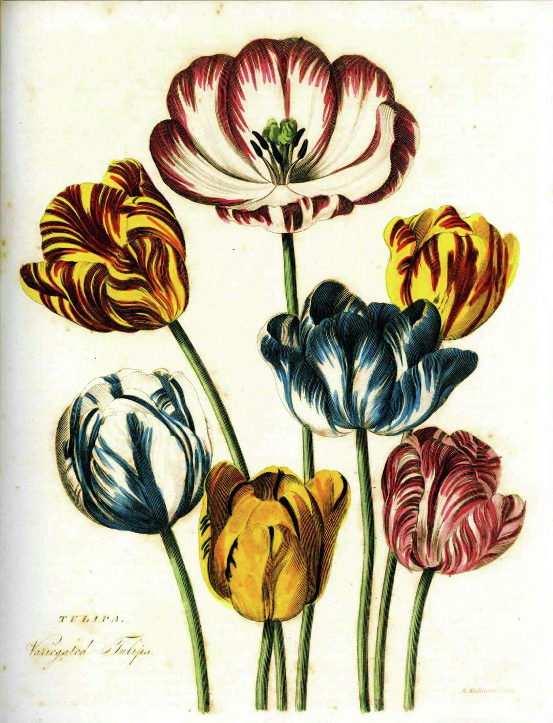 Artist John Derian fills 'Picture Book' with rich imagery