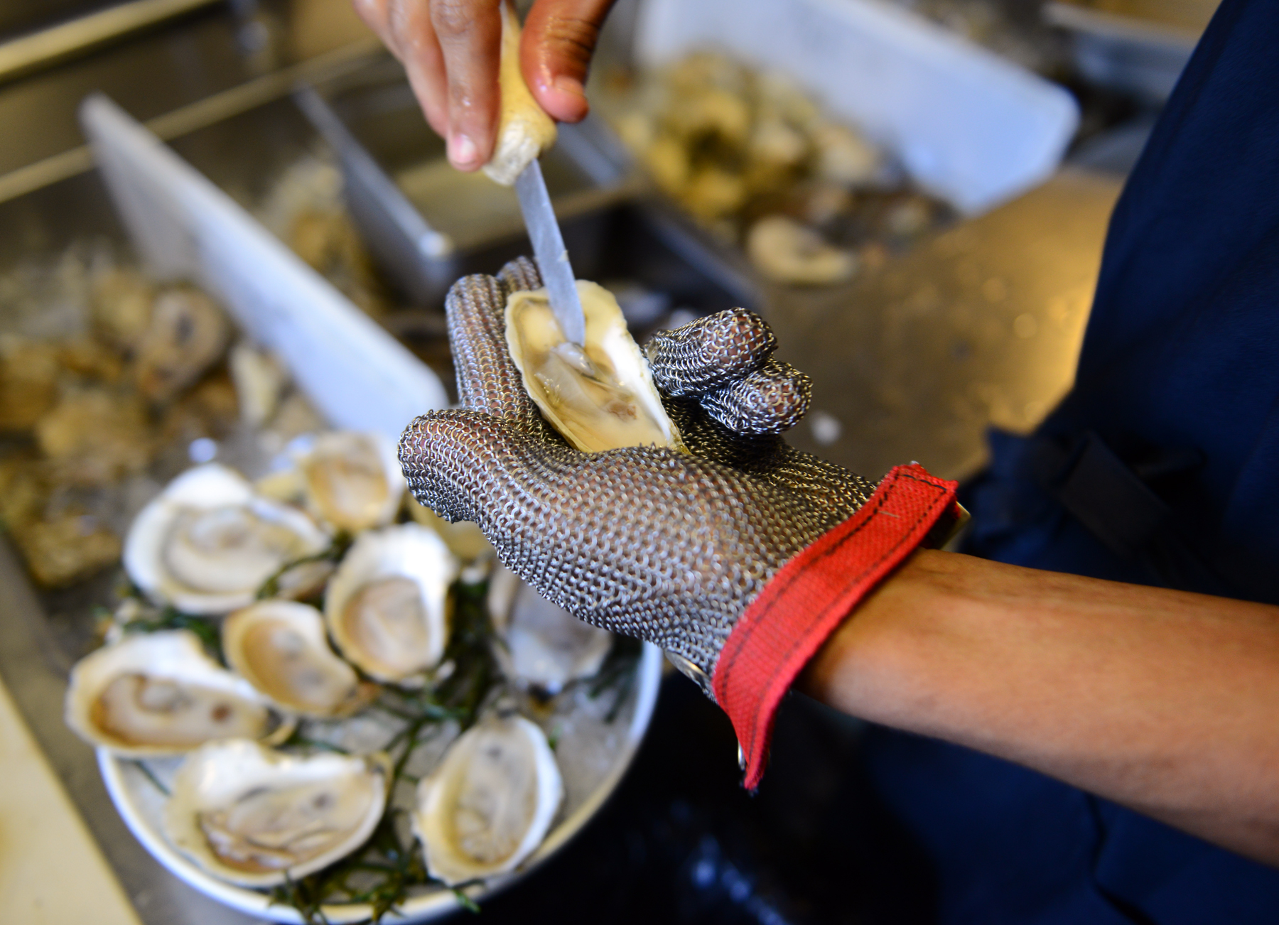 Report: Some New England shellfish contaminated