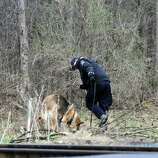 Iorizzo: Search goes on for missing Scotia man Craig Frear - Times Union