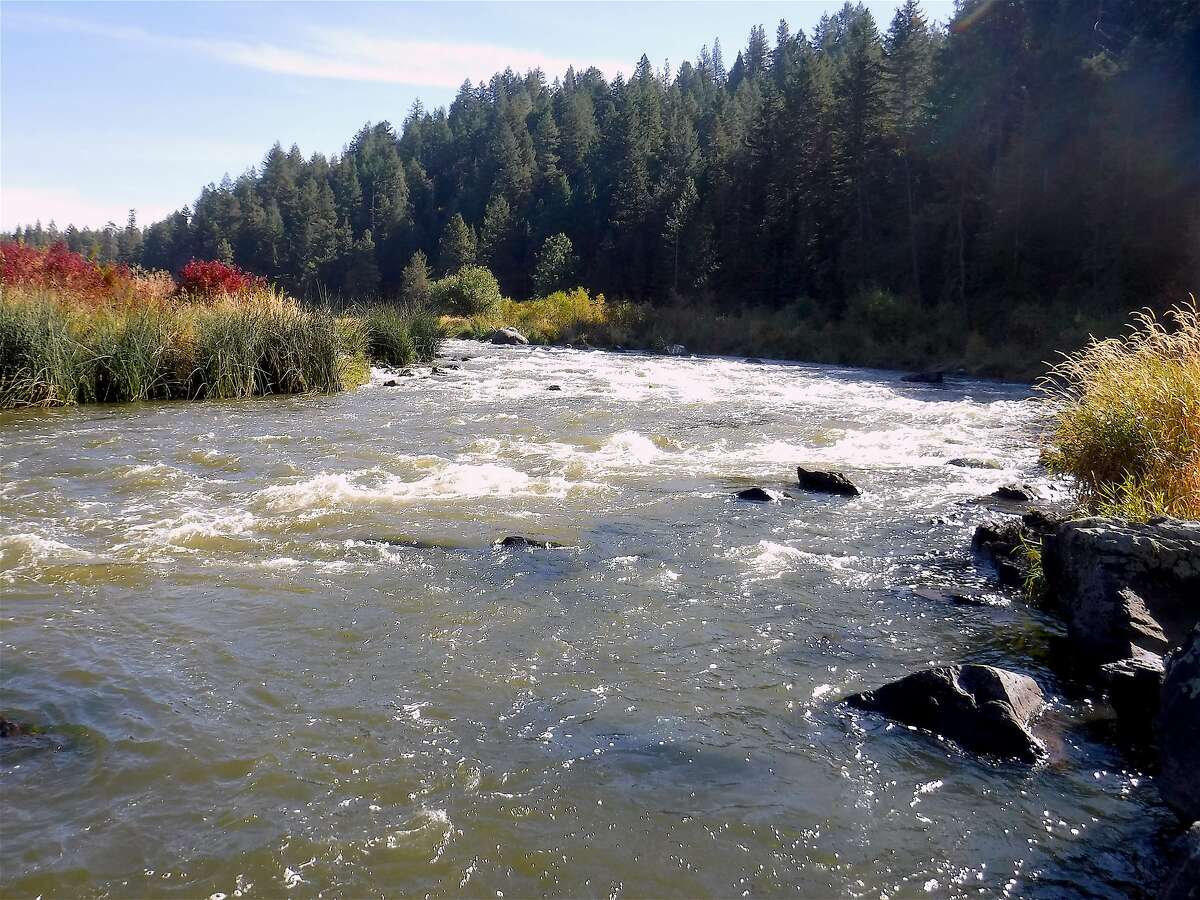 Weekend getaways in Northern California for all families