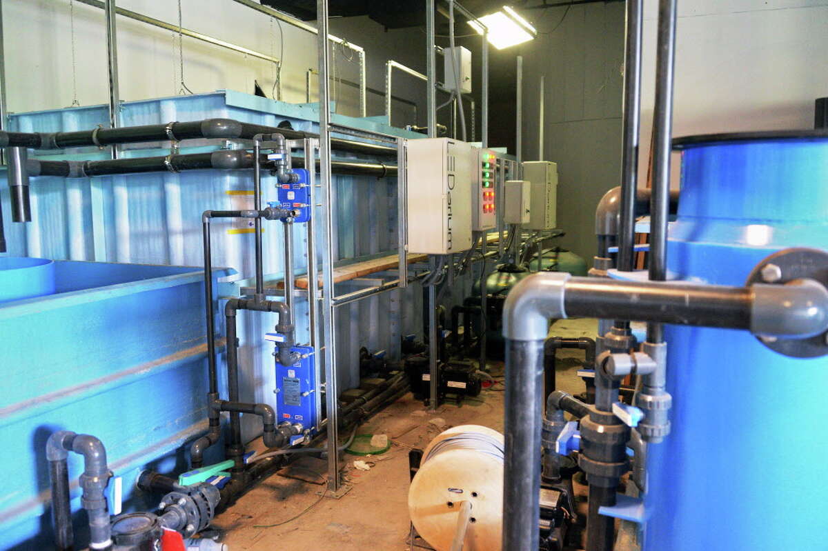 Aquarium in Rotterdam opens Nov. 12