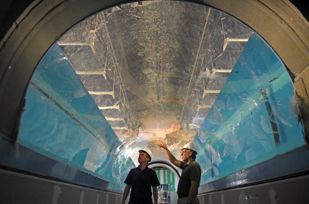 ViaPort Rotterdam aquarium welcomes fish