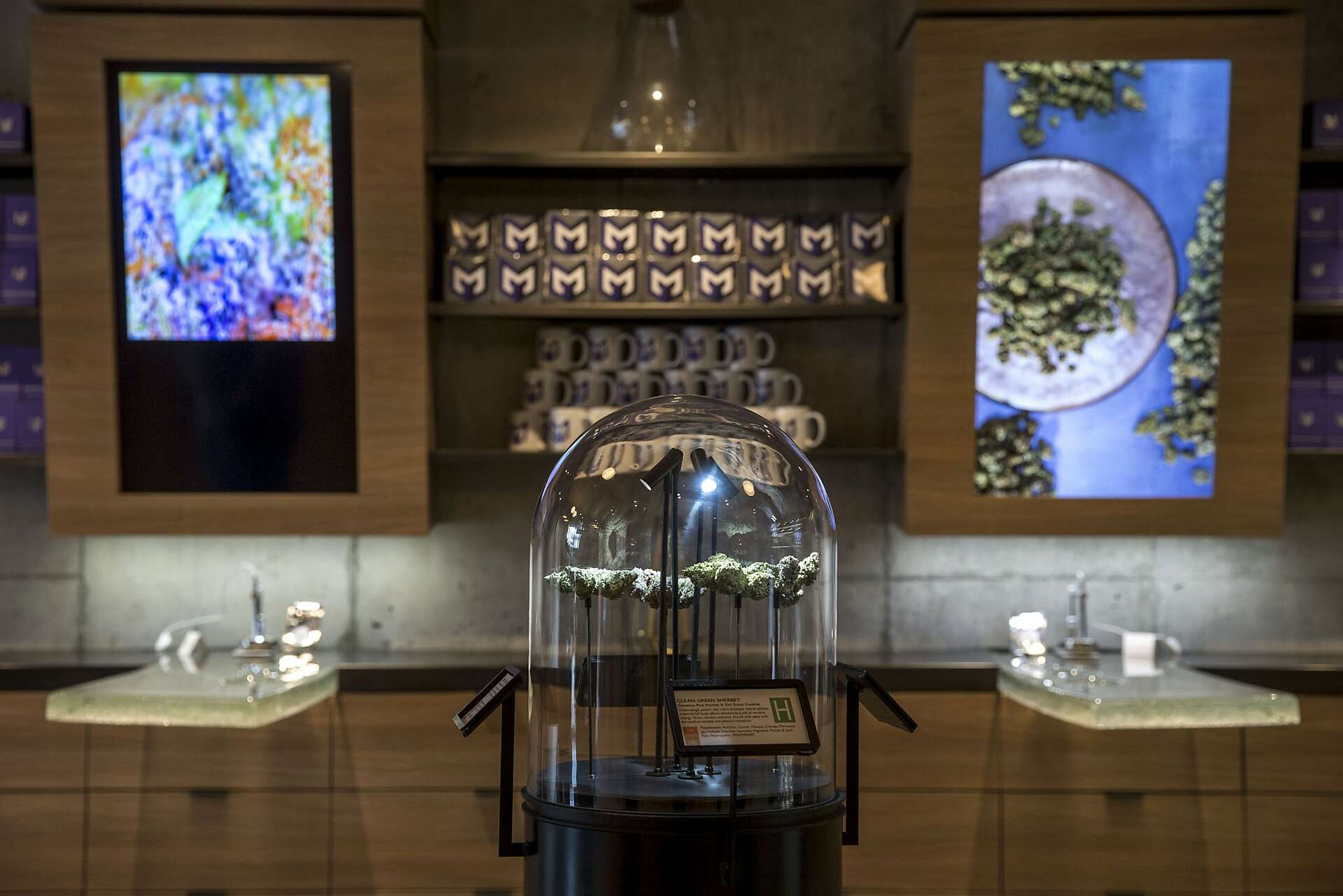 Exploring brave new world of weed in the Bay Area and beyond
