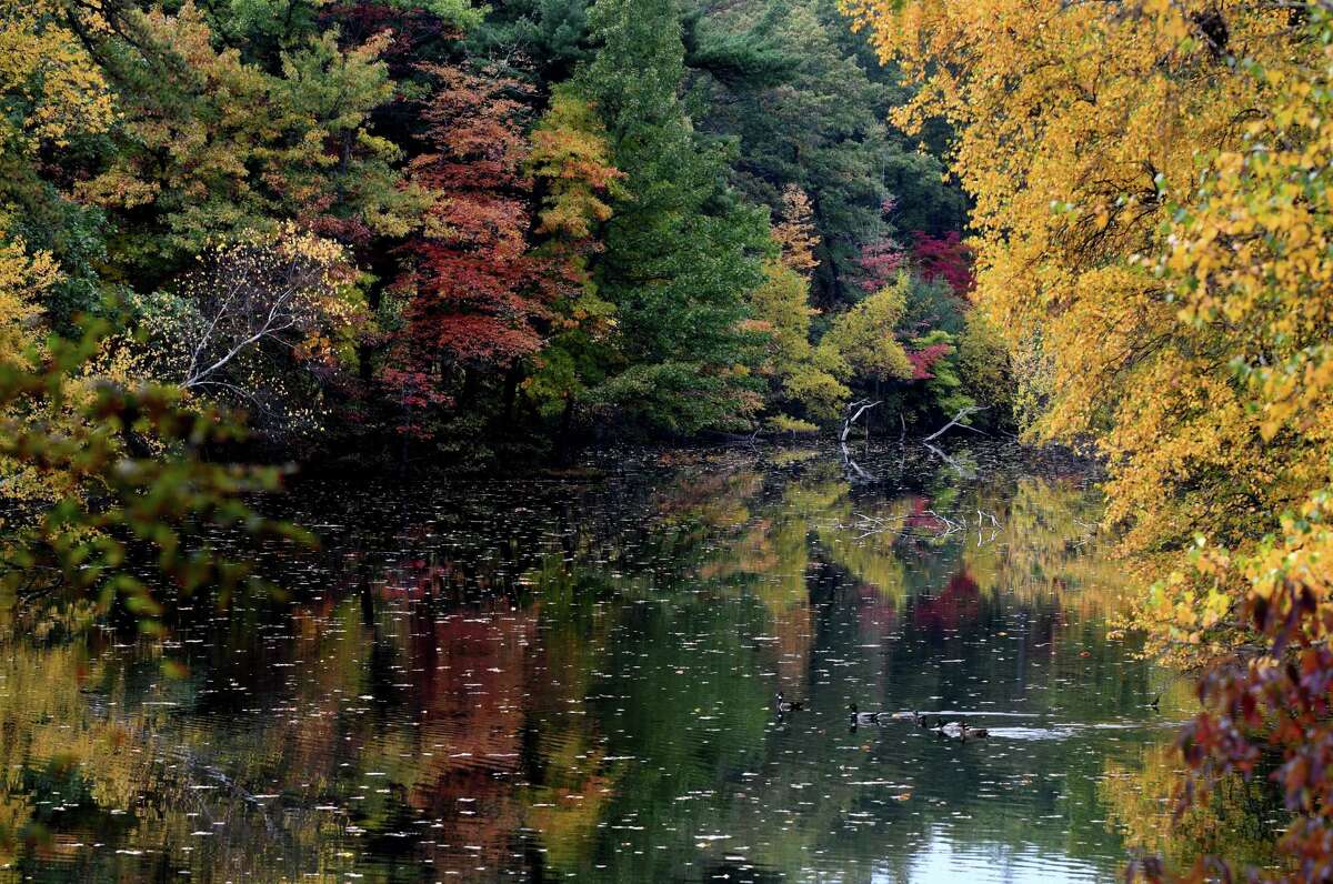 Days of warmth in the Albany area