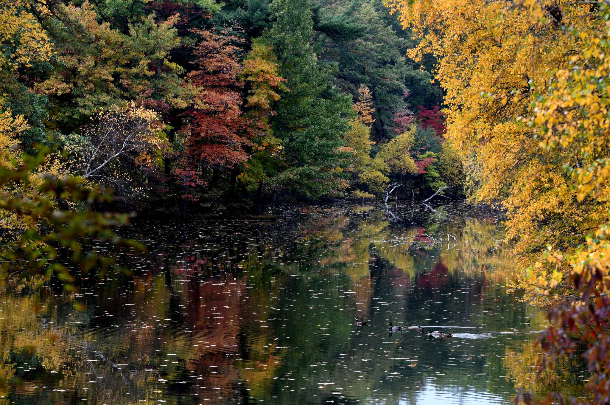 Photos: Changing colors of the fall season