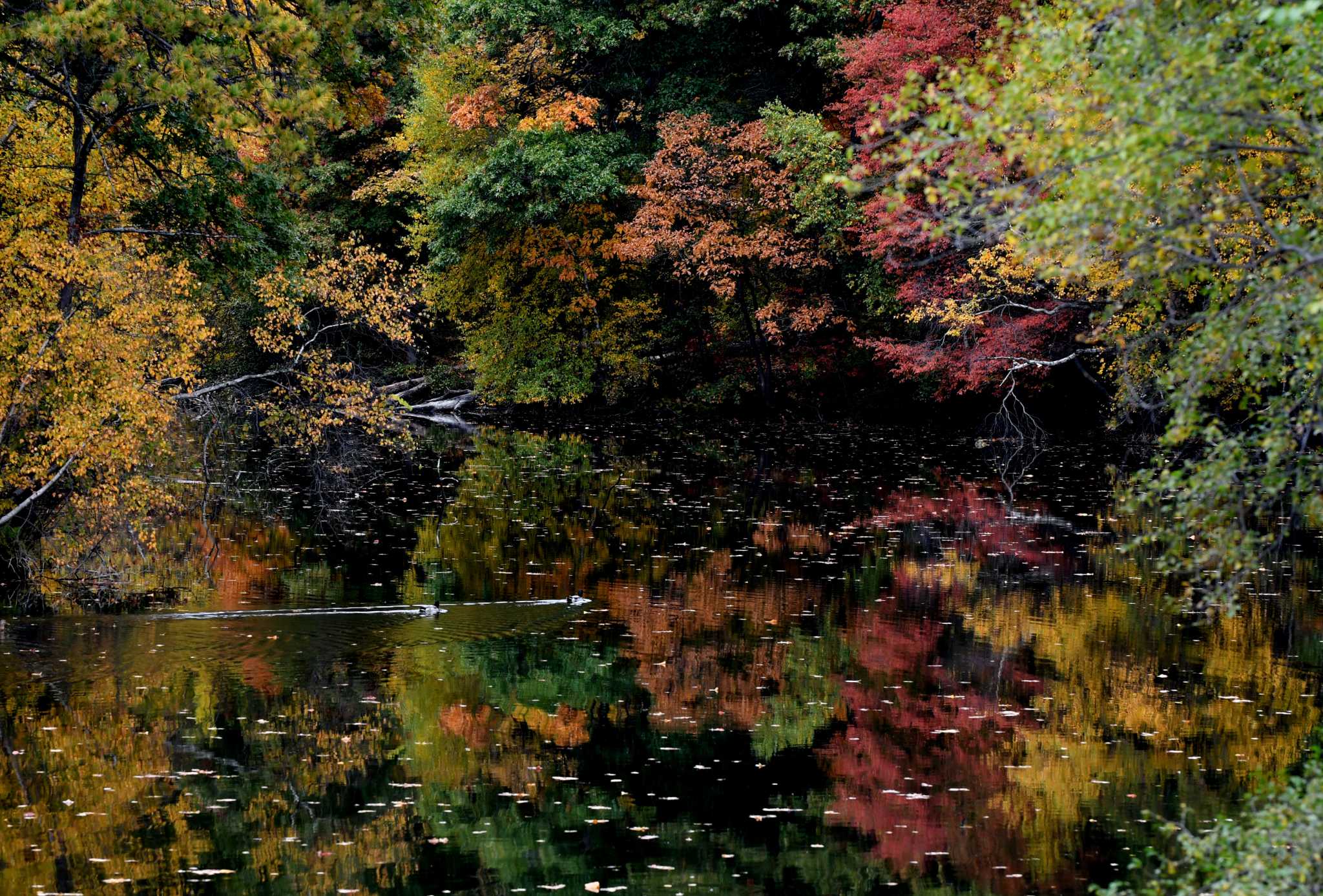 Photos: Airbnb options for a fall getaway