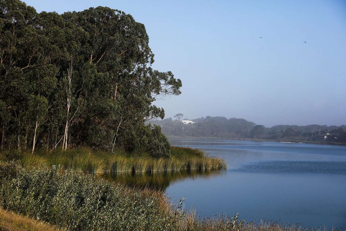 Here are the best places to fish trout in the Bay Area right now