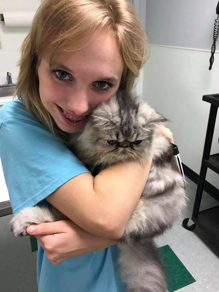 Alyssa Schaefer's Instagram, Twitter & Facebook on IDCrawl