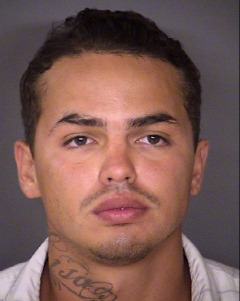 25 Year Old Faces Multiple Felony Charges After Hit And Run Crash In